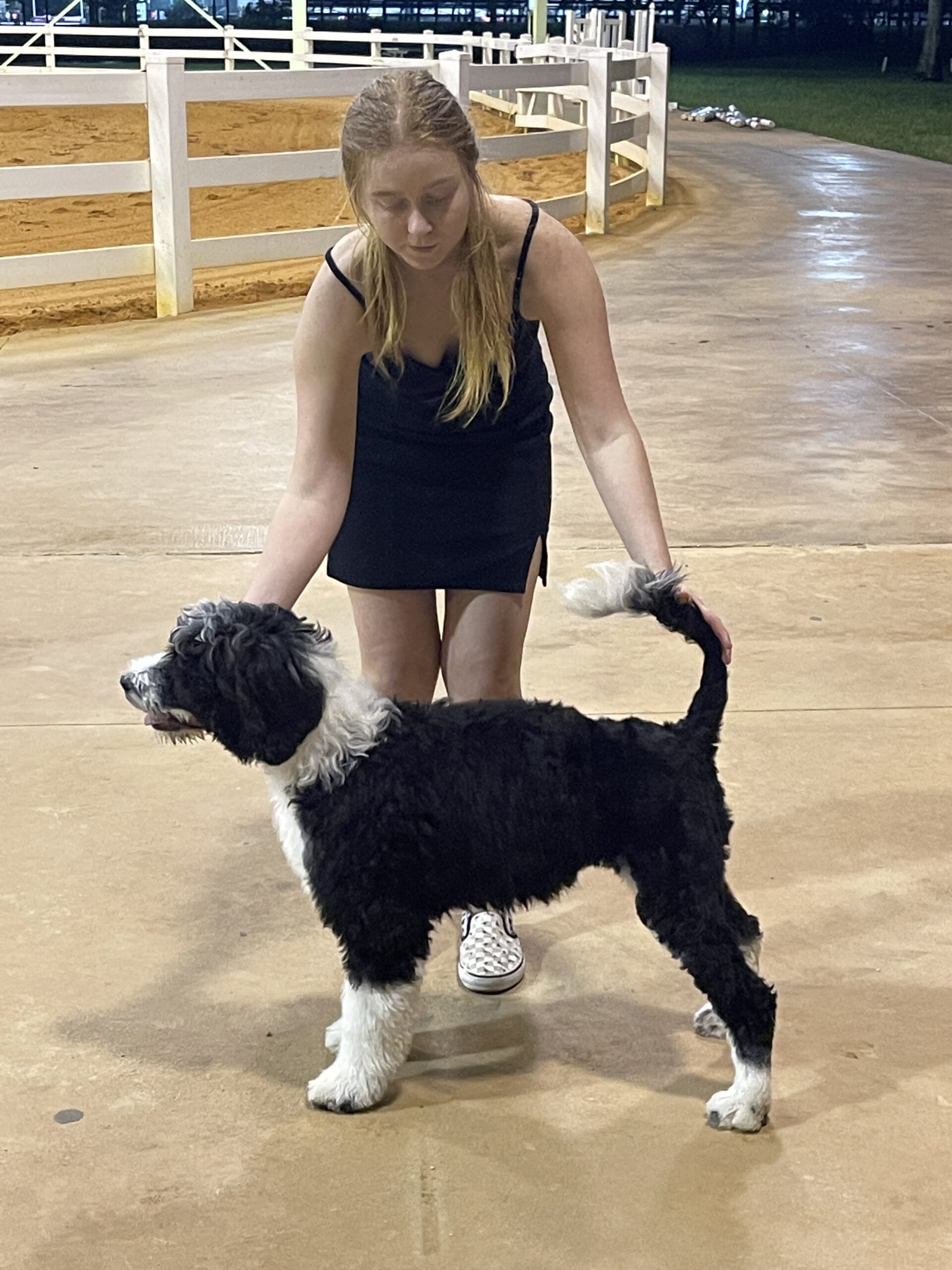 It's Royal Canin Time Again - Riptide Portuguese Water Dogs